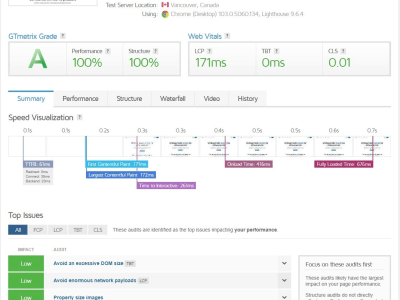 Advanced WordPress Site Speed Optimization | Upwork