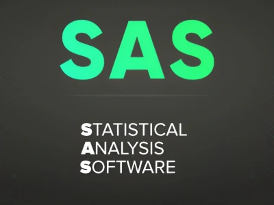 Efficient Data Analysis with SAS: Delivering Actionable Insights | Upwork