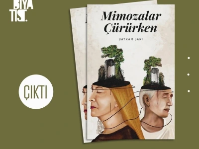 Book Cover, Page design and Drawing | Upwork