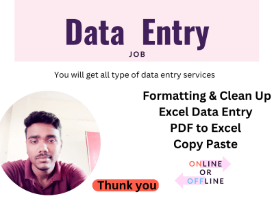 Excel Data Entry, Cleaning and Formatting Service with 100% Accuracy ...