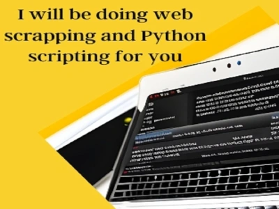 High-quality Python scripting and web scraping solutions | Upwork