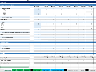 An Automated Financial Model to forecast development | Upwork