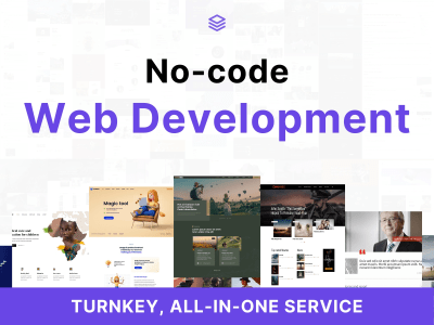 A No-code Web Development Services / Website Development or Customization | Upwork