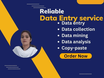 Reliable Data Entry service (Quick Start) | Upwork