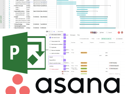 An Expert MS Project or Asana Project Manager to Automate Your Workflow ...
