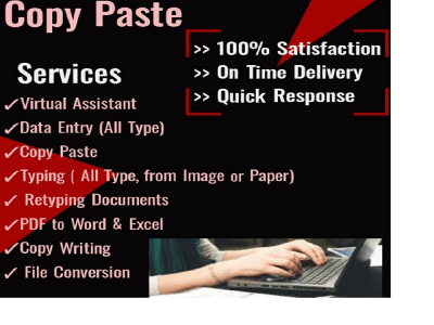 Amazing Retyped Document/ Data Entry/ Copy Paste Work with quick ...