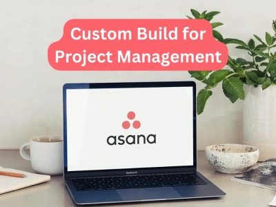 Custom Asana Build for Project Management | Upwork