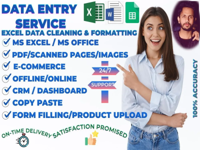 Low-Cost Excel Spreadsheet Data Entry Copy Paste Virtual Assistant | Upwork