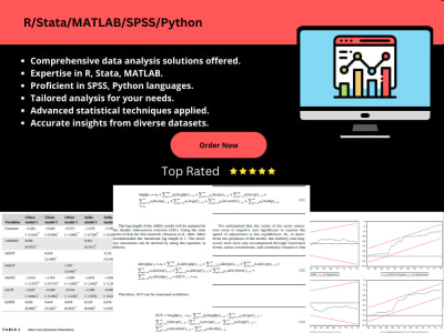 R/Stata/MATLAB/SPSS/Python and a document with explanations | Upwork