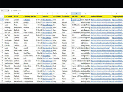Data Entry, LinkedIn, Lead Generation, Data Mining, List Building | Upwork