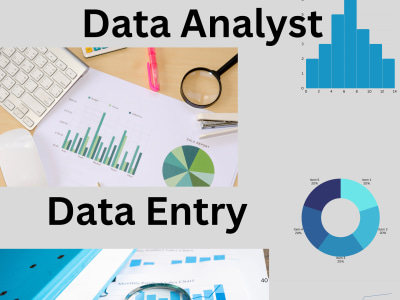 Data analysis , data entry, pdf to excel file | Upwork