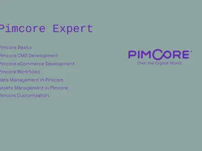 Features, data modeling and integration in Pimcore | Upwork