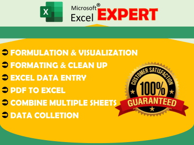 Excel data entry, cleaning and formatting service | Upwork