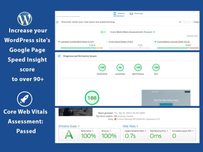 Wordpress Performance And Speed Optimization Page Speed Insight Score