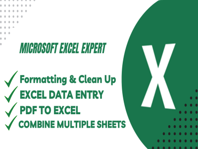 Excel data entry, cleaning and formatting service | Upwork