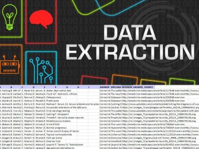 The desired extracted data in excel | Upwork