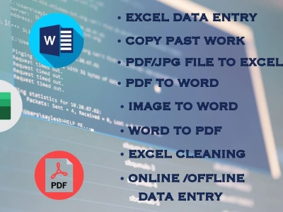 Fast and accurate data entry | Upwork