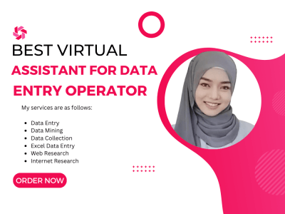 A fantastic virtual assistant for data entry operator | Upwork