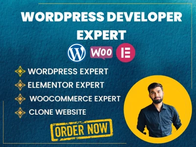 Wordpress developer expert | Clone | Elementor Expert | WooCommerce Expert | Upwork