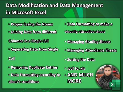 Data Modification and Data Management on Microsoft Excel | Upwork