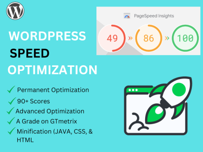 WordPress page speed optimization expert | 90+ Score guaranty | Upwork
