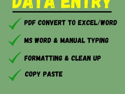 Excel data entry, cleaning and formatting service. | Upwork