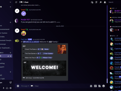A professional discord sever | Upwork