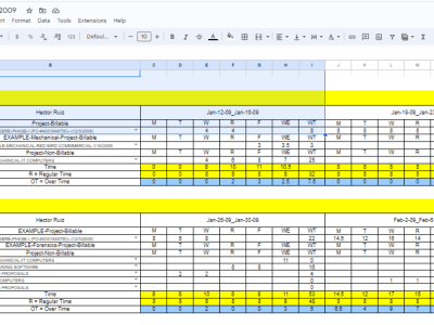 Custom excel spreadsheet tailor to your project needs and task | Upwork