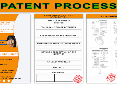 A detailed patent search conducted with assessment on patentability ...
