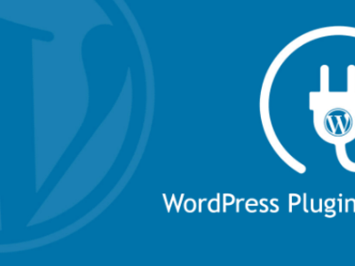 A Professional Wordpress Plugin for your customized Requirements | Upwork