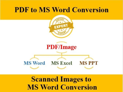 Professional PDF to MS Word Conversion | Error-Free, Fast, and Accurate ...