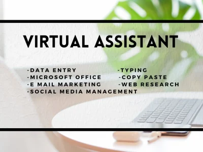 Virtual Assistant for Admin Support & Data Entry | Upwork