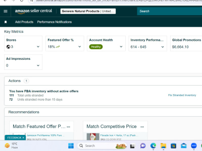 Expert amazon fba virtual assistant and PPC expert | Upwork