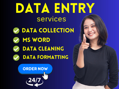 Data Entry | Data Formatting | Data Cleansing | Copy-Paste | Excel ...