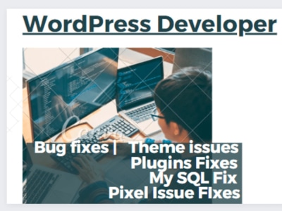 WordPress Bug Fixes | Plugin Error Fixes | Theme Fixes | Upwork