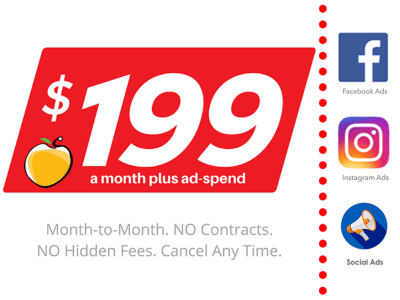 A Powerful Facebook Ad & Campaign Management for Only $199! | Upwork