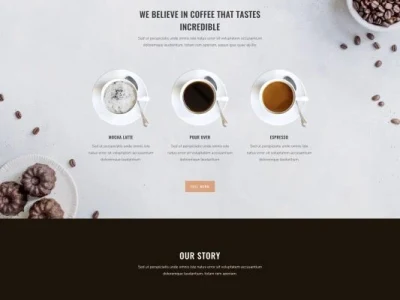 A fantastic responsive website based on wordpress (offer includes 1 ...