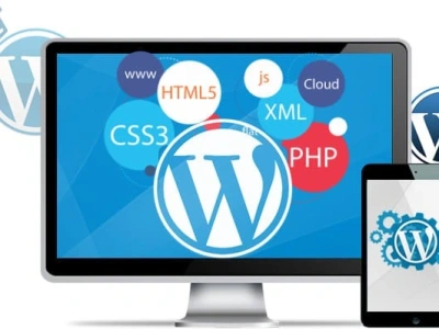 A custom wordpress plugin | Upwork