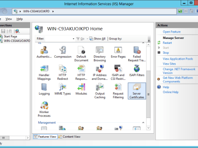 Windows server hosting Service | Upwork