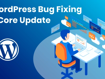Installation, setup and bug fixes for your wordpress website | Upwork