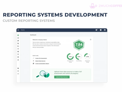 Custom reporting systems development | Upwork