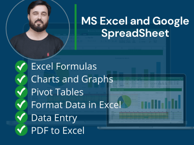 An assistance with excel formulas, charts, and data entry | Upwork