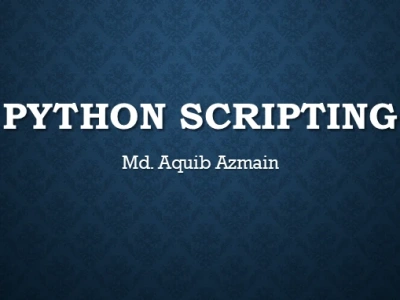 Automation, python script, code, web development | Upwork