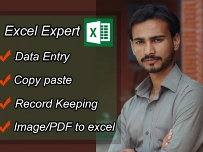 Your data entry task of Ms excel | Upwork