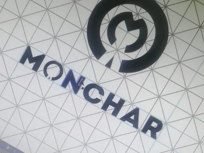 An amazing logo designed for your business | Upwork