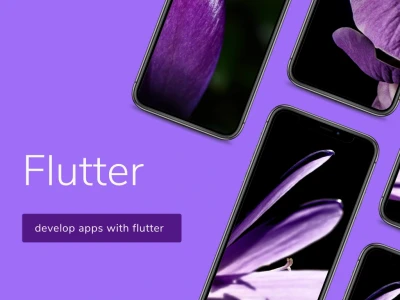A fully functional flutter app work on ios and android | Upwork