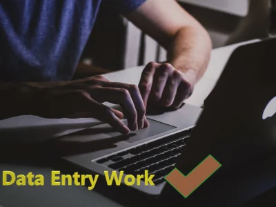 Professional and quick data entry with high accuracy in less time. | Upwork