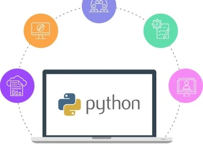 A Custom Python Automation Script | Upwork
