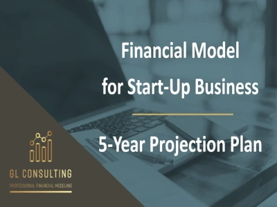 A Professional Financial Model specially customized for your business ...