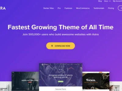 WordPress Development Services Online | Upwork